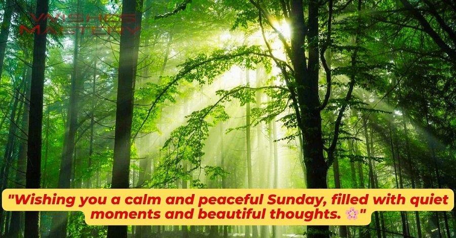 Best Happy Sunday Quotes to Uplift Your Mood - Wishes Mastery
