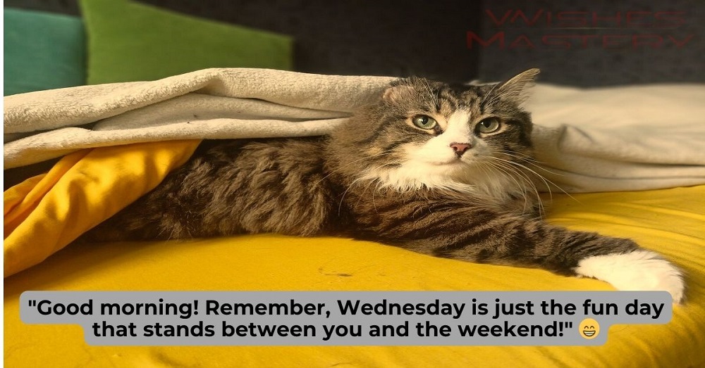 120+ Good Morning Wednesday Wishes - Wishes Mastery