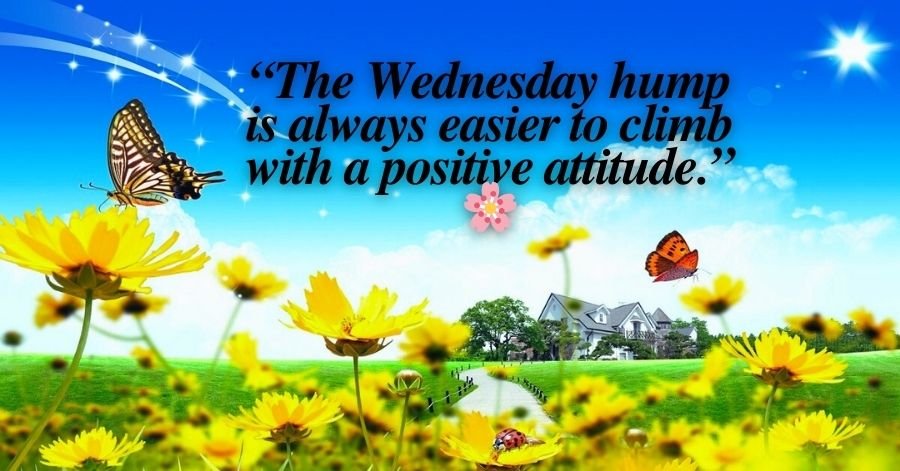 Happy Wednesday Wishes: Mid-Week Joy & Positivity - Wishes Mastery