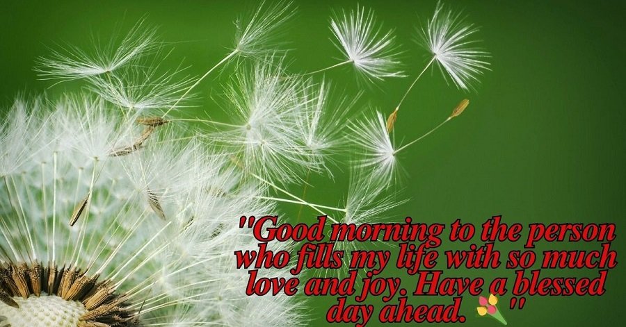 Good Morning Everyone Quotes to Start the Day - Wishes Mastery